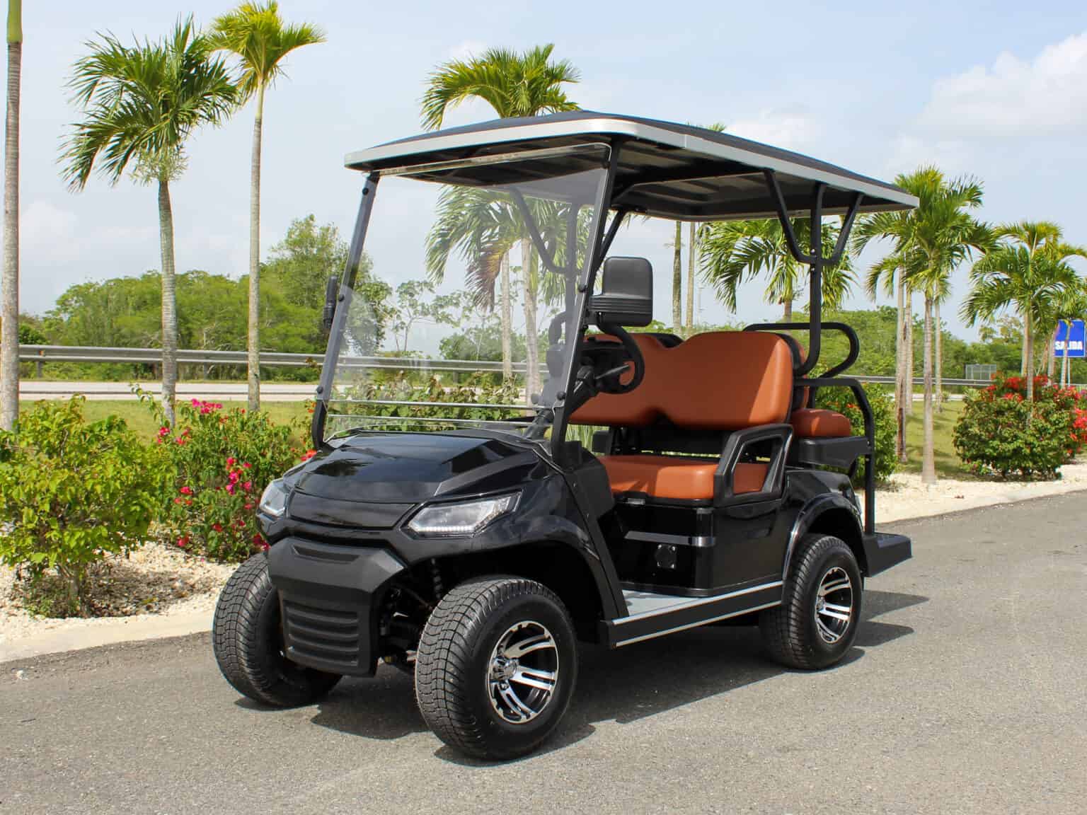 Golf Carts - Eco Planeta