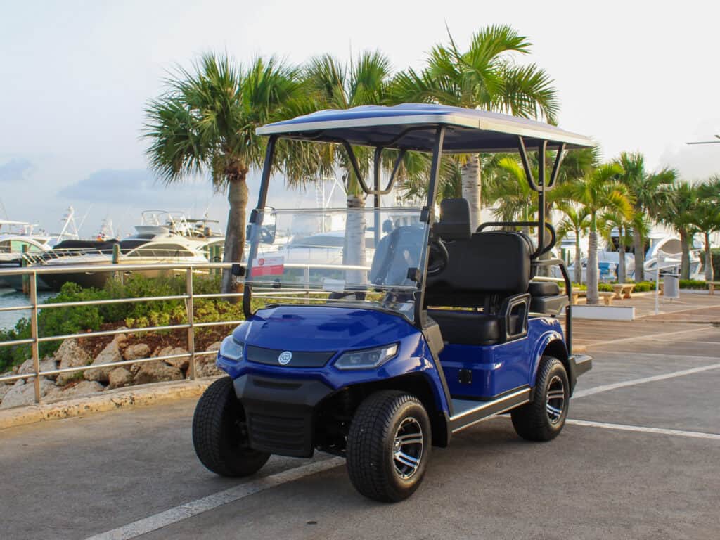 4 Person Golf Carts - Eco Planeta